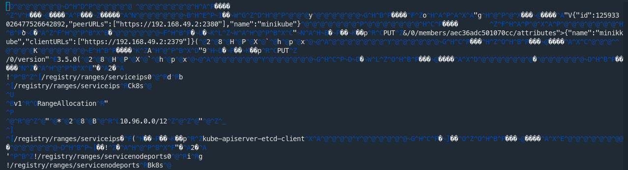 Understanding etcd Internals: WAL, Protocol Buffers and Leader Elections