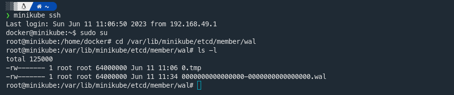 Understanding etcd Internals: WAL, Protocol Buffers and Leader Elections